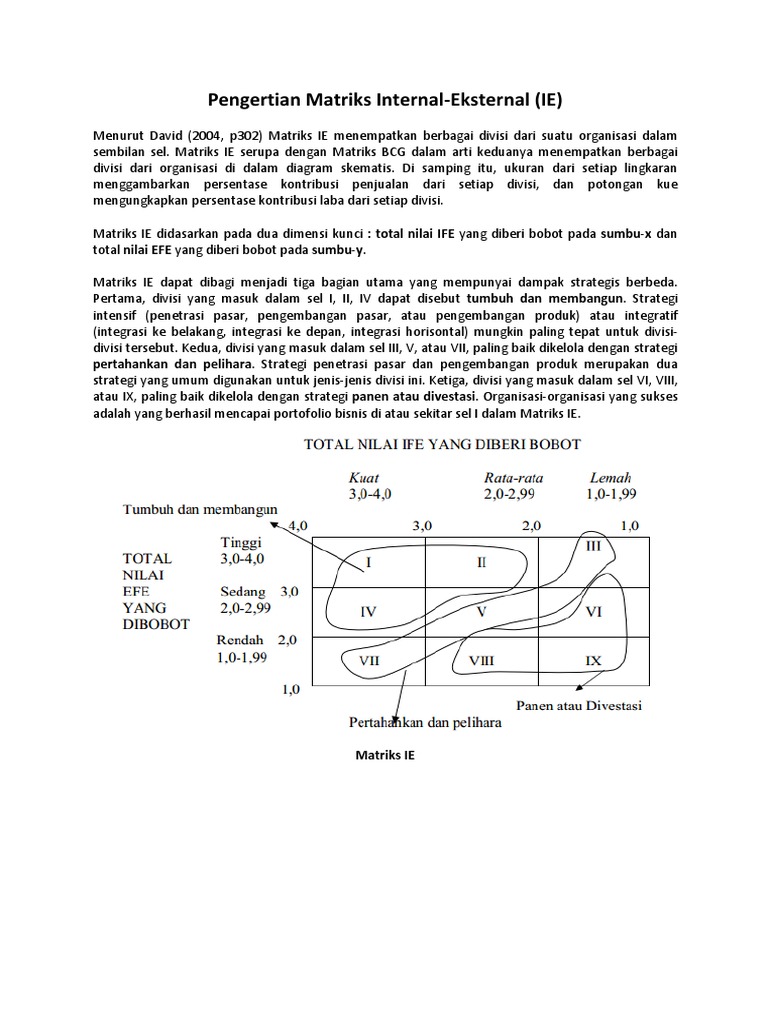 Matriks IE | PDF