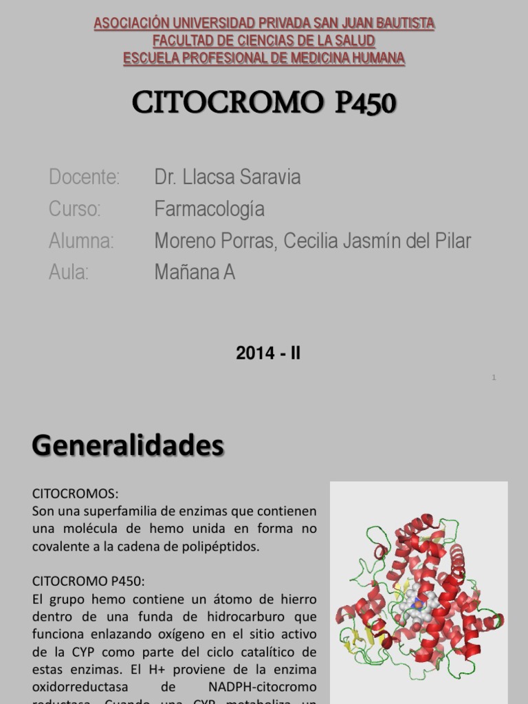 Citocromo P450 | PDF | Citocromo P450 | Metabolismo