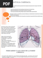 Esqueleto Fibroso del Corazón: Funciones y Estructura | PDF | Corazón ...