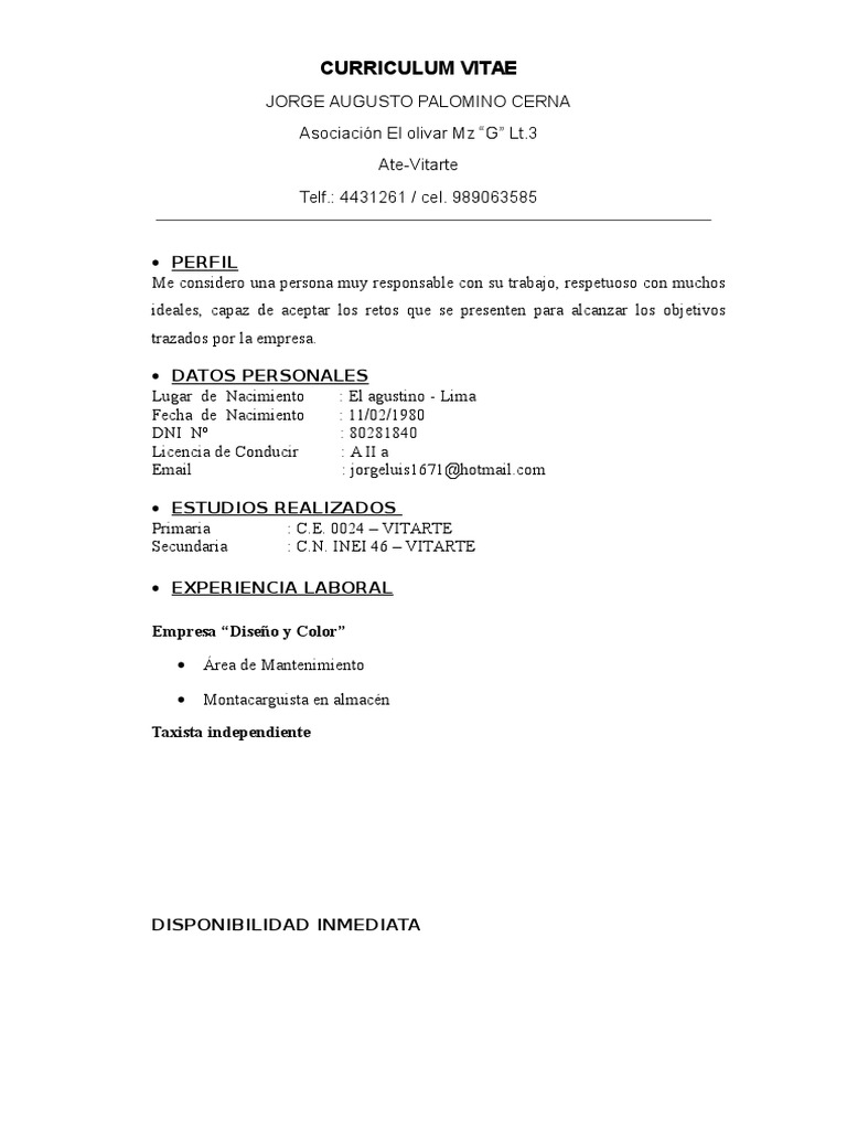 CV de Jorge Augusto Palomino Cerna | PDF