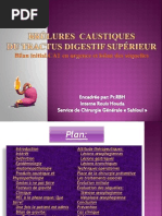 Anatomie des anses grêles et mésentère | PDF | Péritoine | Spécialités ...