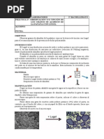 Identificación de Almidón con Lugol | PDF | Almidón | Química
