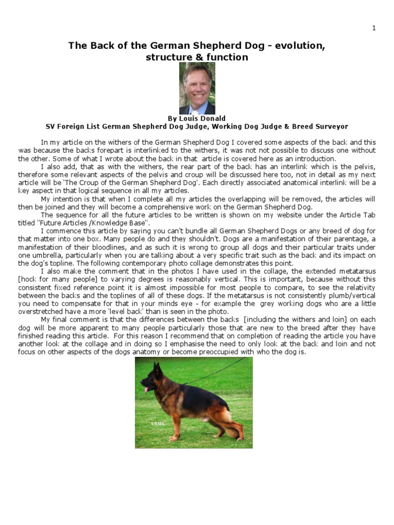German Shepherd Back Anatomy | PDF | Vertebral Column | Vertebra