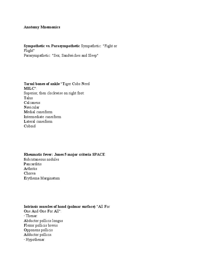 Anatomy Mnemonics | PDF | Common Carotid Artery | Arm