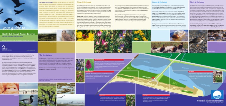 North Bull Island Nature Reserve Guide | PDF | Conservation | Nature