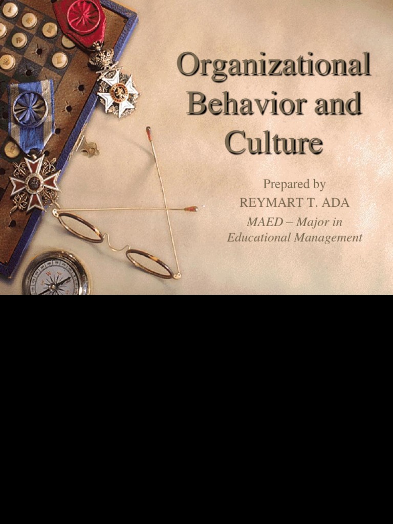 Human Behavior in Organization | PDF | Organization Development ...