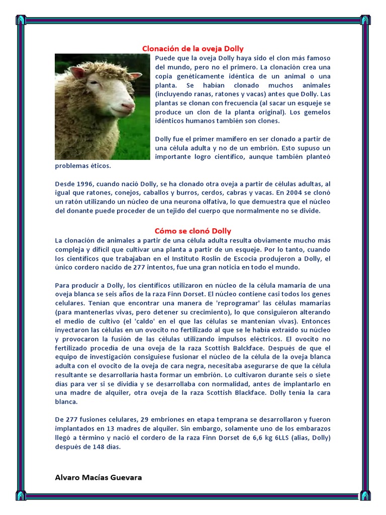 Diagrama De Dolly La Oveja Clonada
