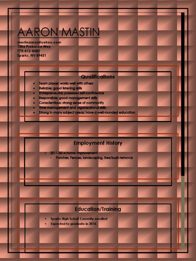 Aaron Mastin's Resume Summary | PDF