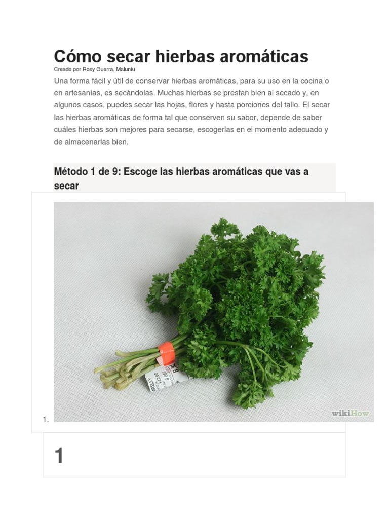 Cómo Secar Hierbas Aromáticas Pdf Hoja Romero