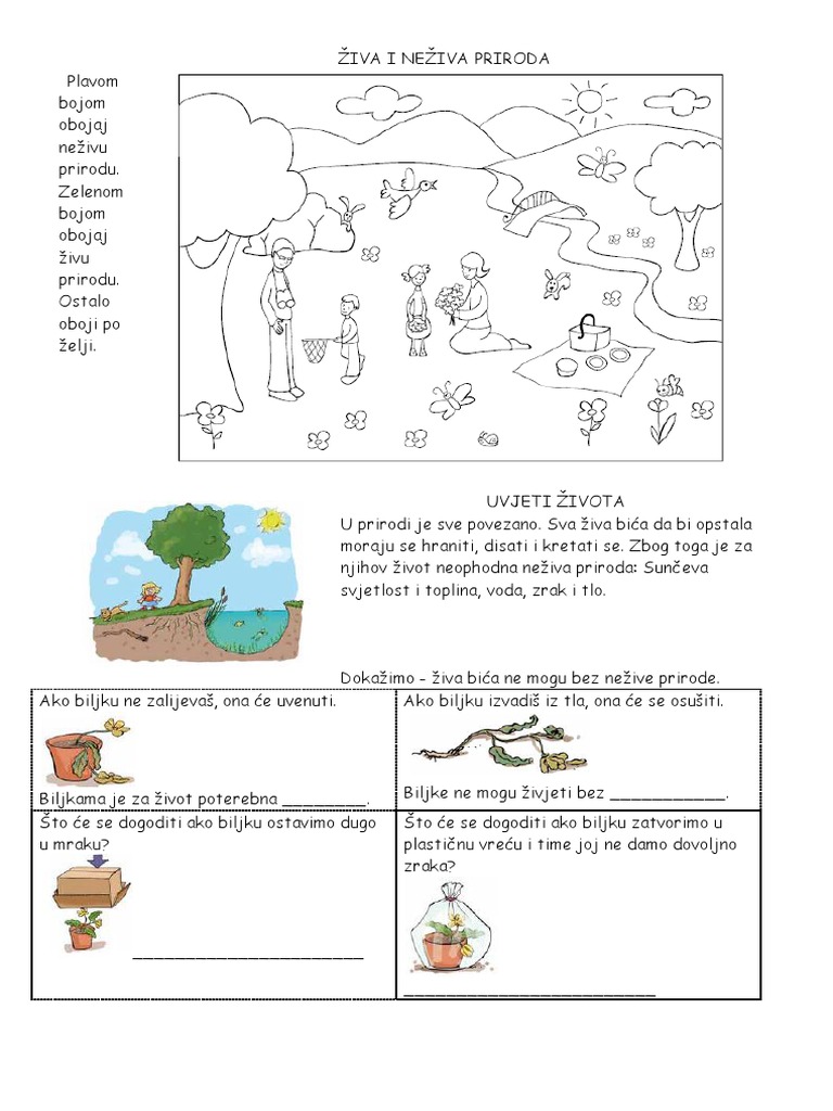 7 Živa I Neživa Priroda | PDF