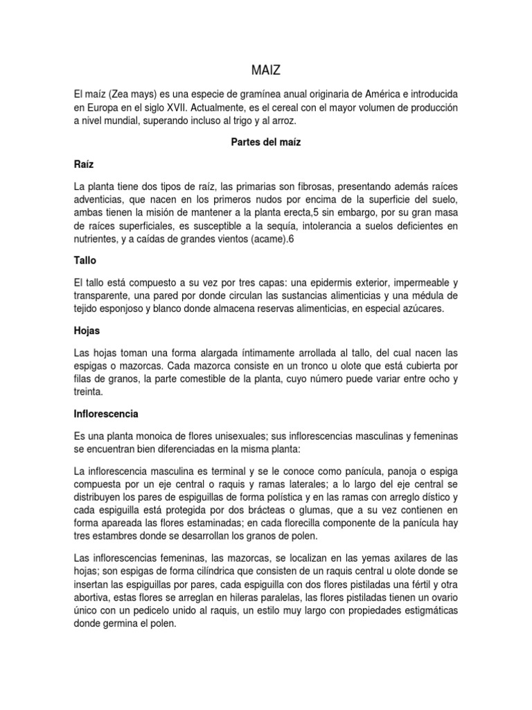 Maiz | PDF | Maíz | Alimentos