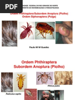 Sintomas da Tungíase e Cuidados | PDF | Doenças e distúrbios | Remédio