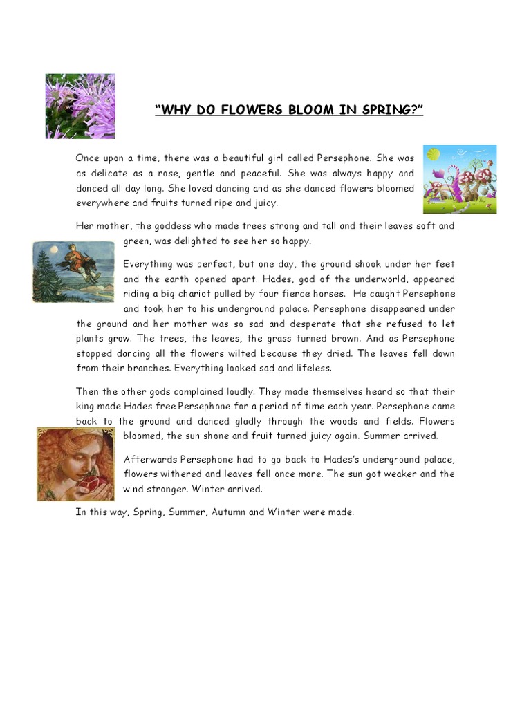 Why Do Flowers Bloom in Spring | PDF | Home & Garden | Poetry