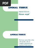 Dichotomous Key For Histology | PDF | Epithelium | Tissue (Biology)