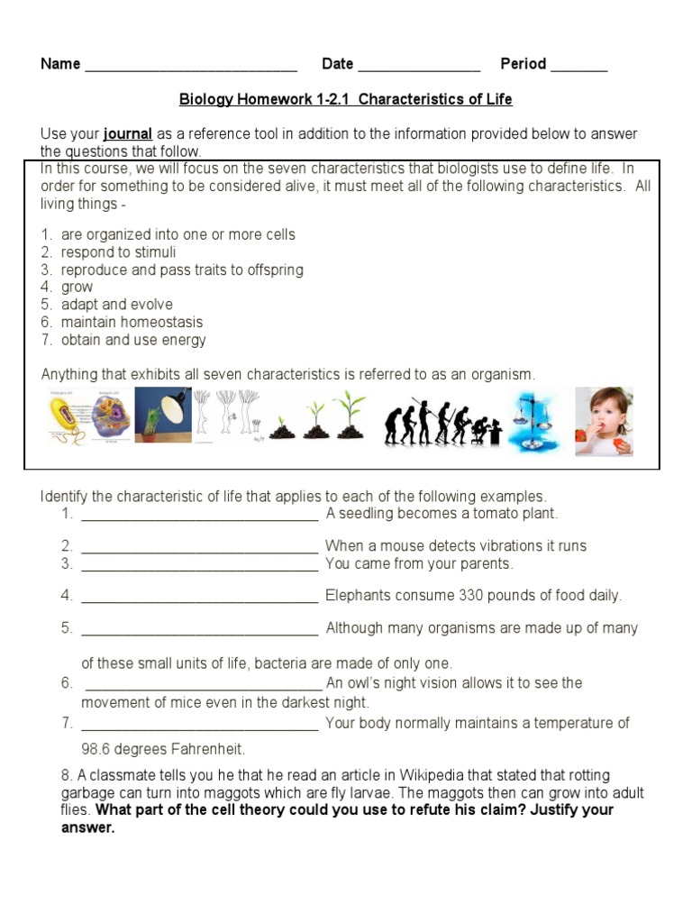 HW 1-2 1 Characteristics of Life | PDF | Self-Improvement | Wellness