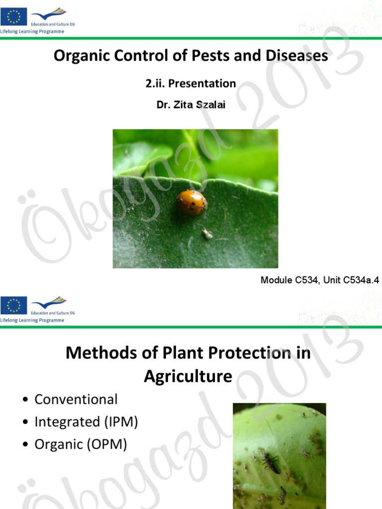 Organic Control of Pests and Diseases in Your Garden | PDF | Technology ...