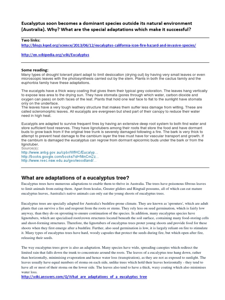 Eucalyptus - Highly Adapted | PDF | Trees | Eucalyptus