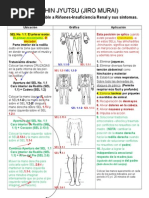 JIN SHIN JYUTSU Apertura 26 Cierres de Seguridad | PDF | Violencia | Agitación