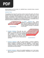 Dichotomous Key For Histology | PDF | Epithelium | Tissue (Biology)