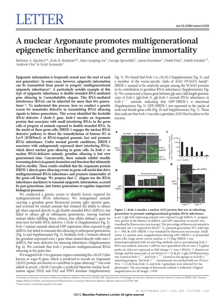 Nrde 3 | Download Free PDF | Rna Interference | Epigenetics
