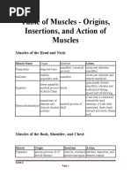 Muscle OIA: Chest, Neck, Back, Thigh | PDF | Vertebral Column | Vertebra