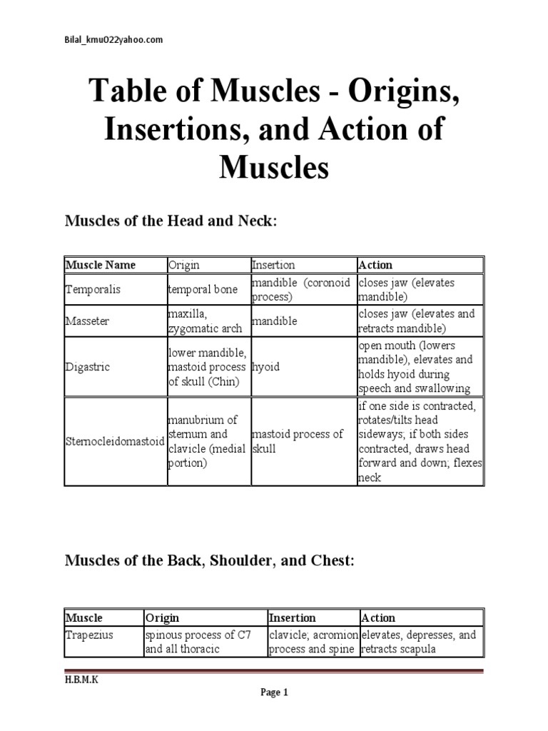 Table of Muscles - Origins, Insertions, and Action of Muscles | PDF ...