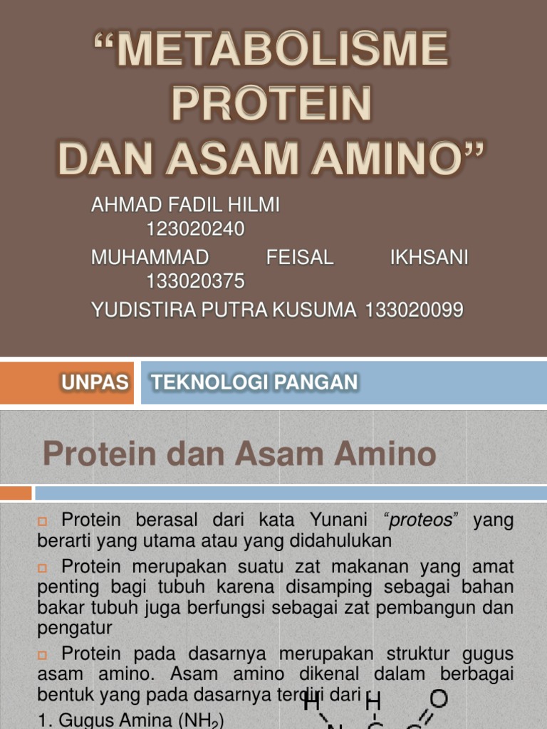 Metabolisme Protein | PDF