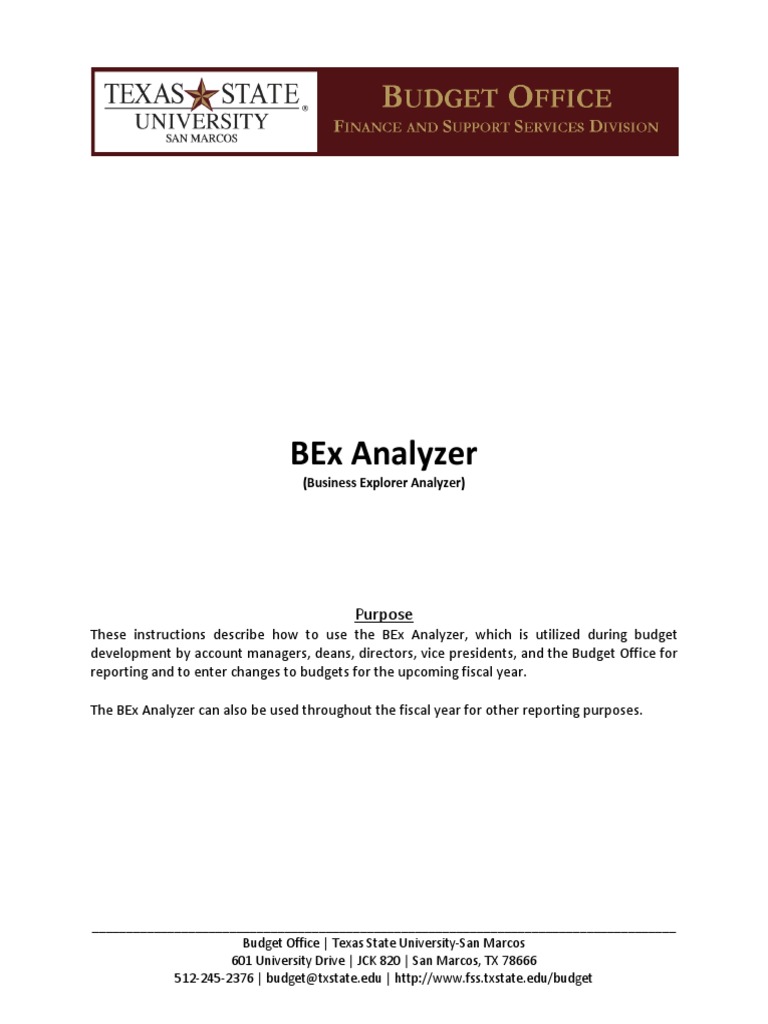BEx Analyzer Instructions | PDF