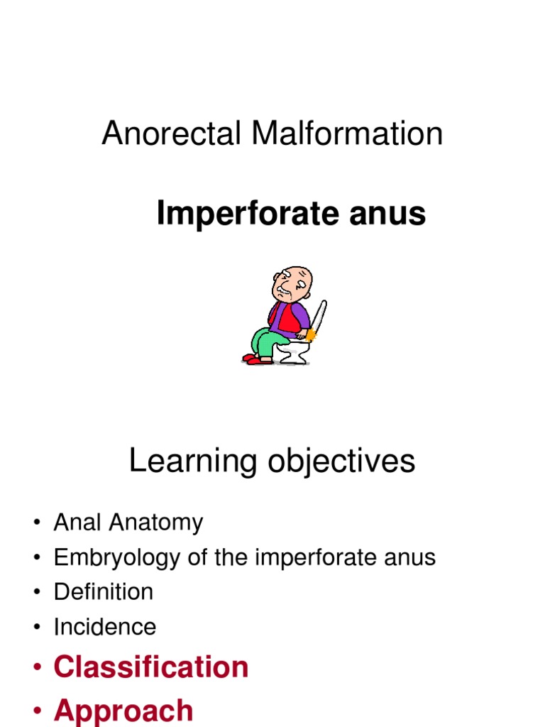 Anorectal Malformation | PDF | Rectum | Constipation