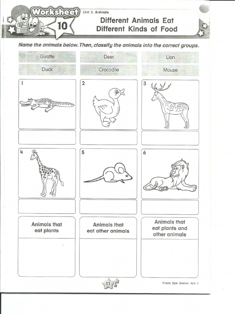 Science Year 2b | PDF