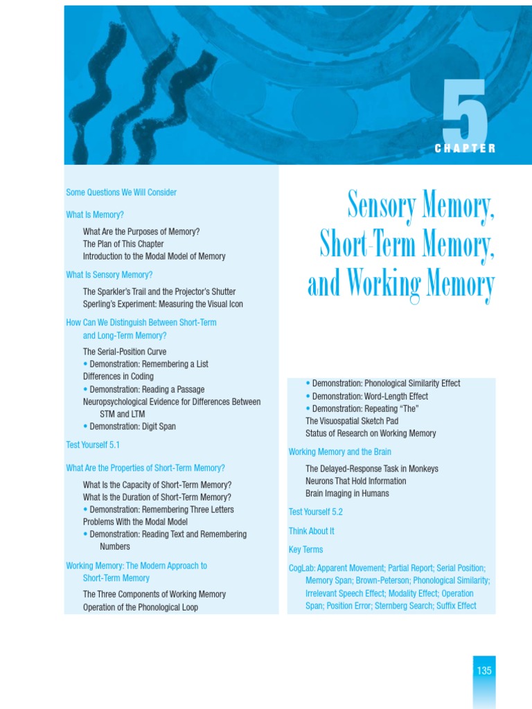 About Memory | PDF | Memory | Working Memory