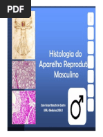 Estágios de Tanner no Desenvolvimento Masculino | PDF | Anatomia sexual ...