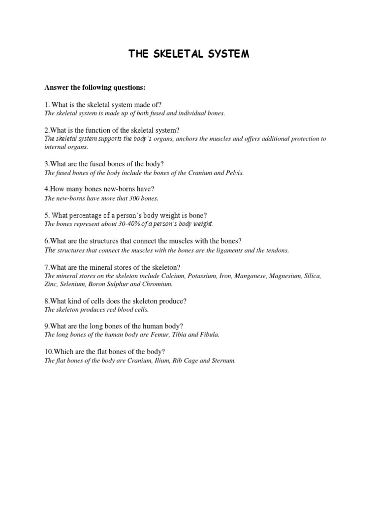 The Skeletal System: Answer The Following Questions | PDF