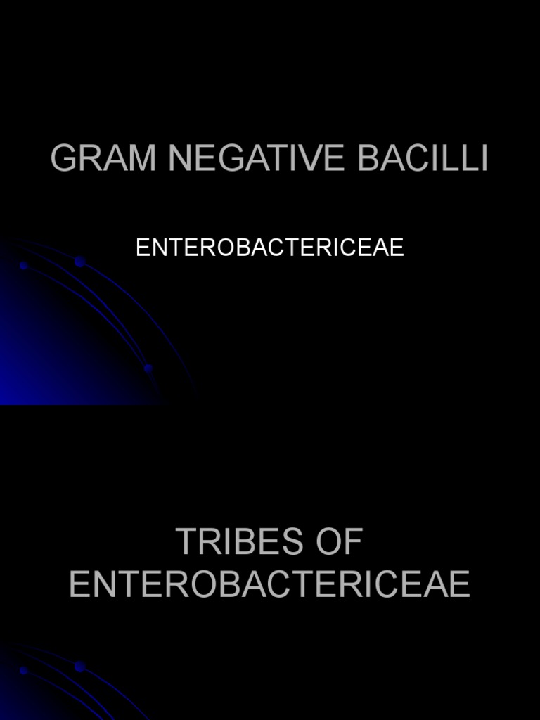 Gram Negative Bacilli | PDF | Salmonella | Pseudomonas Aeruginosa