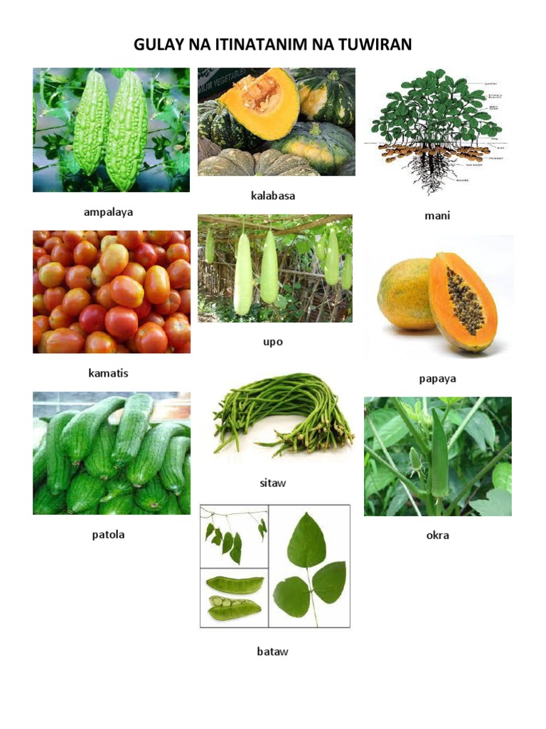 Gulay Na Itinatanim Na Tuwiran | PDF