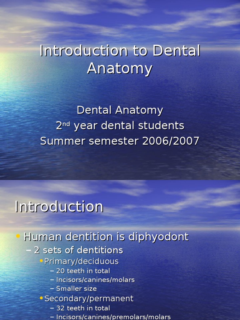 Introduction To Dental Anatomy | PDF | Dental Anatomy | Tooth