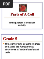 Complete vs Incomplete Digestive Systems | PDF | Digestion | Human ...