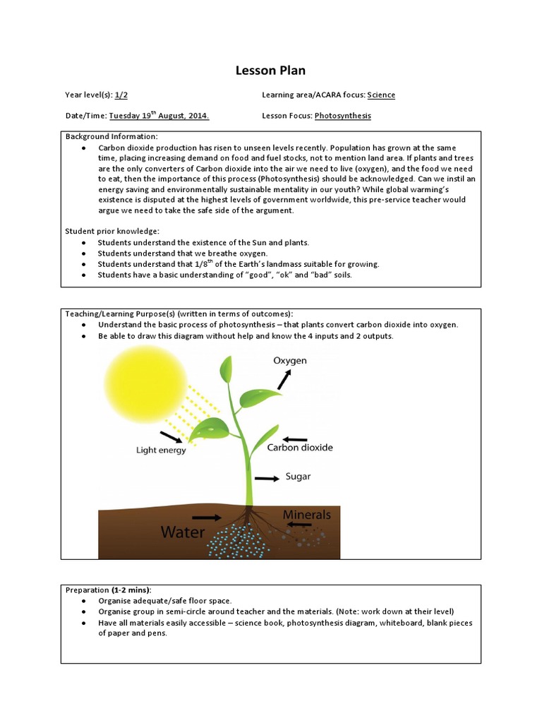 Photosynthesis Lesson Plan for Year 1/2 | PDF | Photosynthesis | Lesson ...