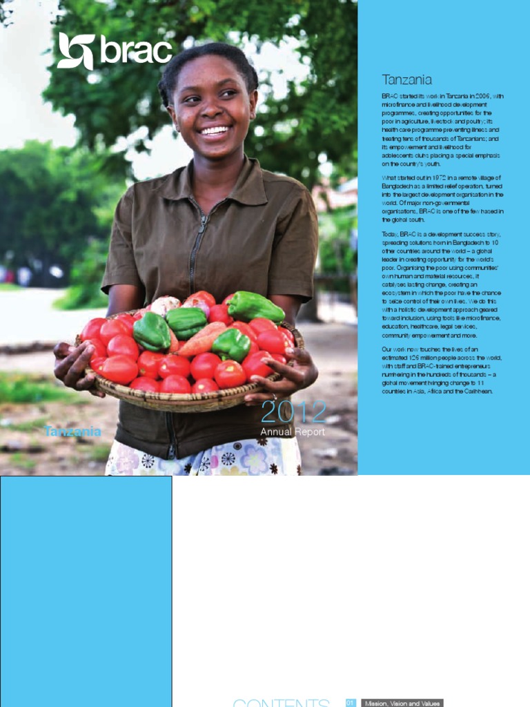 BRAC Tanzania | PDF | Microfinance | Internal Audit
