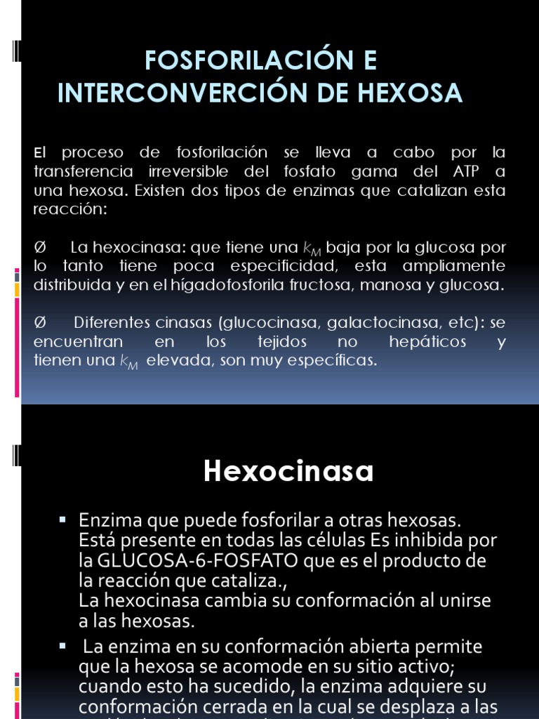 Fosforilación e Interconverción de Hexosa | PDF