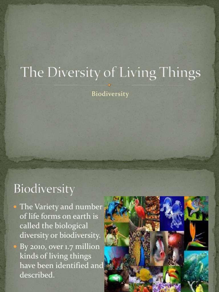 The Diversity of Living Things | PDF | Biodiversity | Ecology
