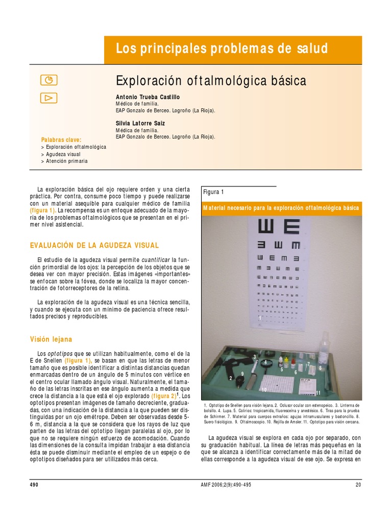 Exploración Oftalmológica Básica en Atención Primaria | PDF | Ojo ...