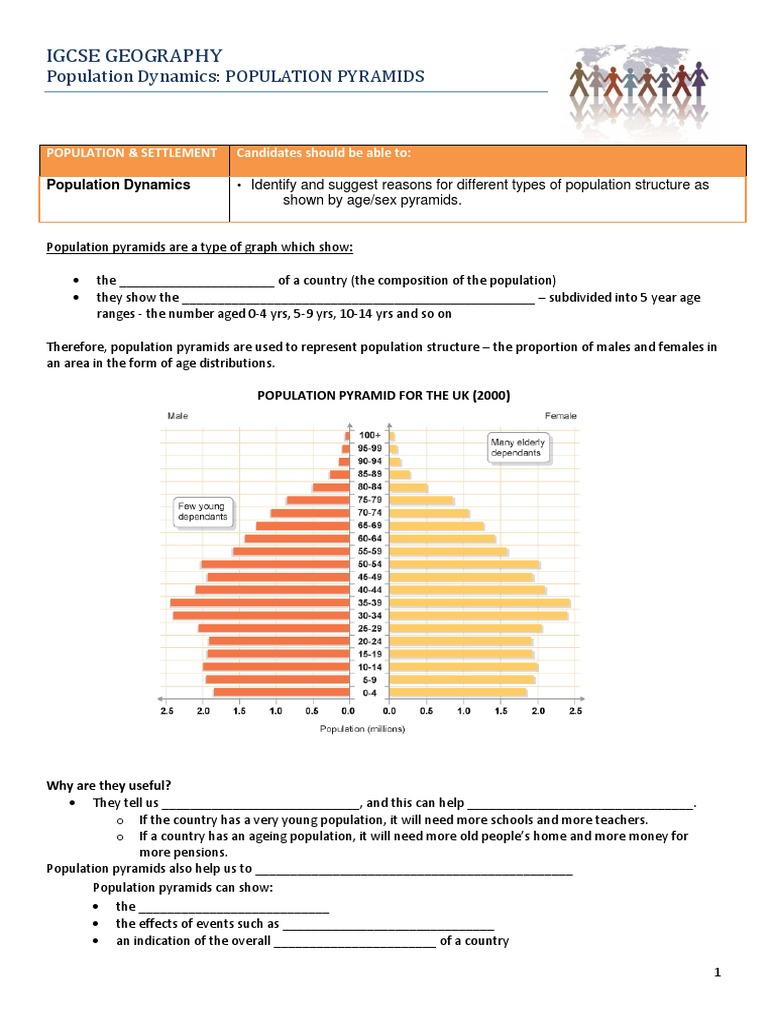 Population Pyramids | PDF | Birth Rate | Life Expectancy