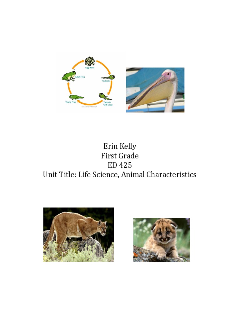 Science Unit 1st Grade Life Science | PDF | Educational Assessment | Nature