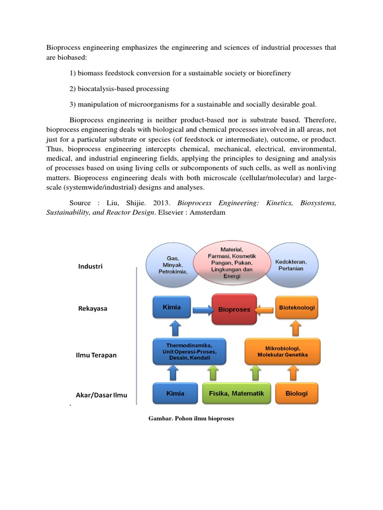 Bioprocess Engineering Overview | PDF | Science & Mathematics