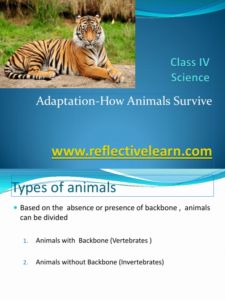 Summary Adaptations How Animals Survive Upload | PDF | Amphibian ...