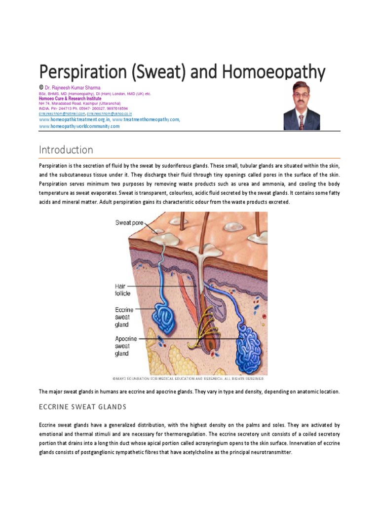 Perspiration (Sweat) and Homoeopathy | PDF | Organ (Anatomy) | Human ...