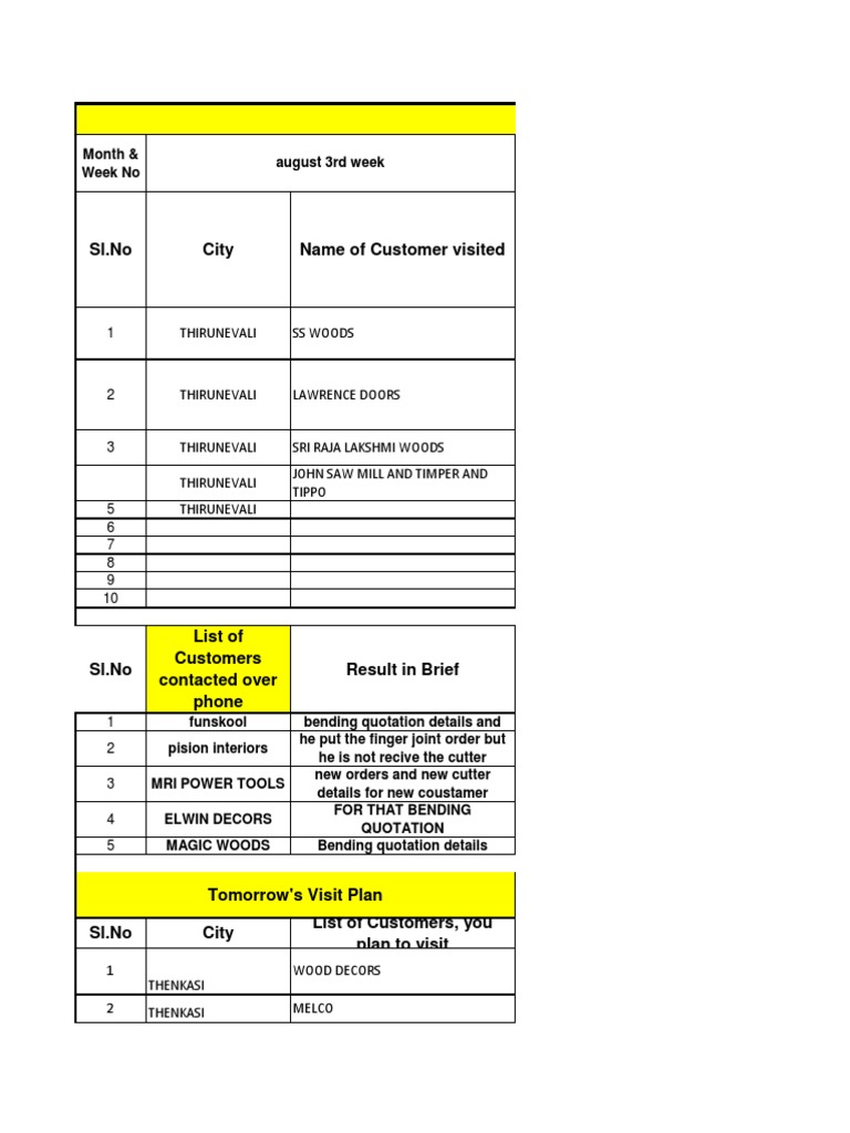 Daily Sales Visit Report Summary | PDF | Law | Home & Garden