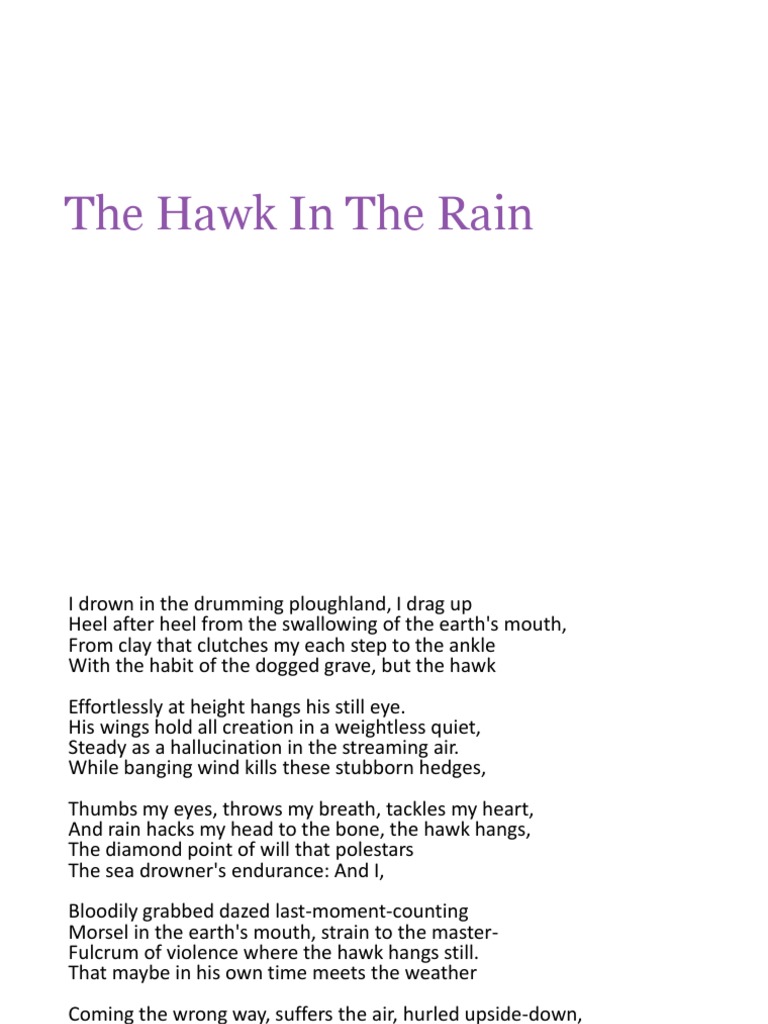 The Hawk in The Rain | PDF | Poetry | Classics