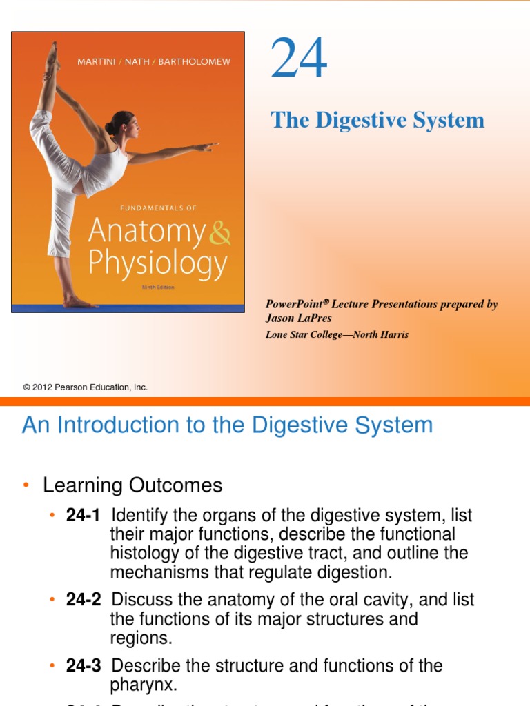 The Digestive System: Powerpoint Lecture Presentations Prepared by ...